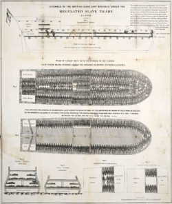 Print of the Slave Ship Brookes | The American Yawp Reader