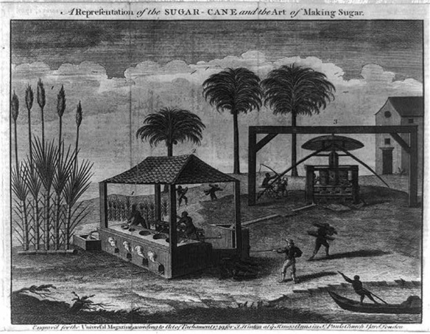 4. Colonial Society | THE AMERICAN YAWP